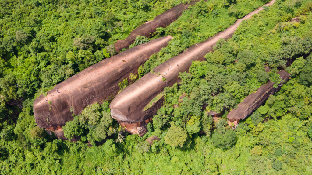Trois baleines ROCK: les léviathans de pierre de 75 millions de ...